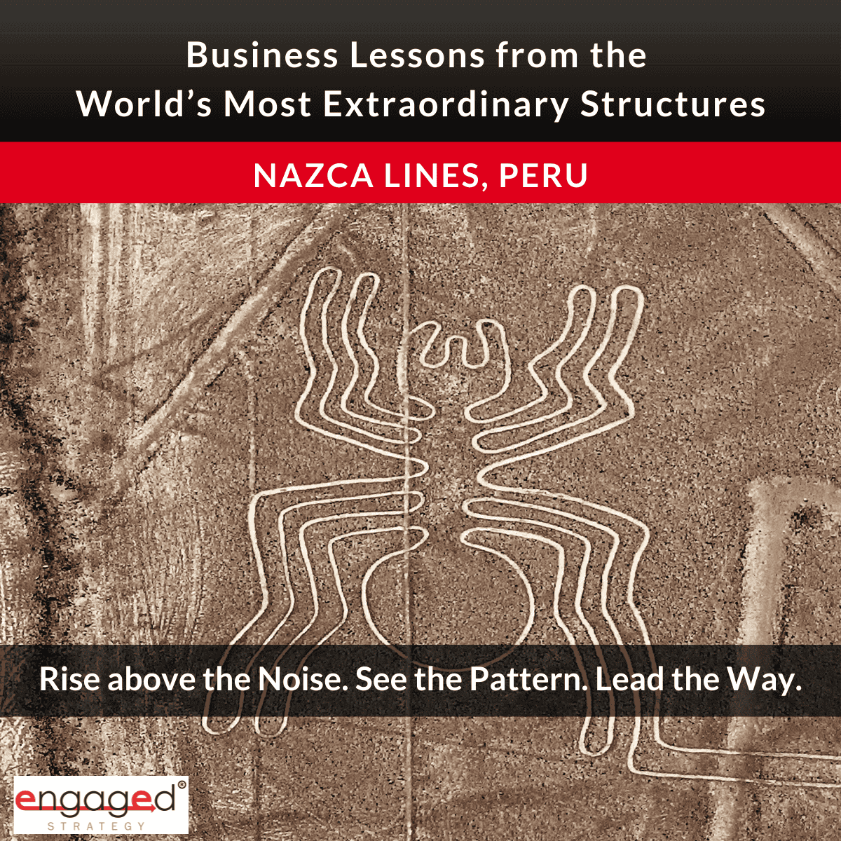 The CEO Altitude Advantage: Why Patterns Only Become Clear When Leaders ...